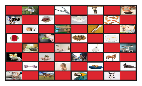 Pets and Pet Care Legal Size Photo Checkerboard Game | Teaching Resources