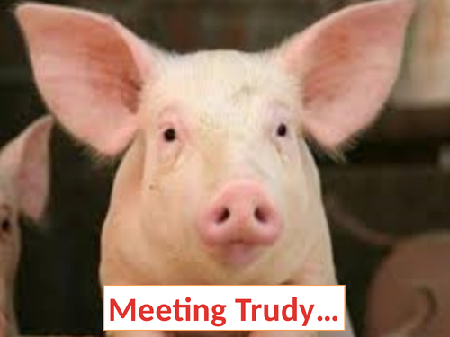 PIG HEART BOY YEAR 6 - LESSON 8 - WARM TASK TO EVALUATE PROGRESS ...