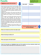 AQA GCSE Biology (Science) Evidence for Evolution – Fossils and ...