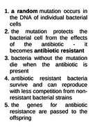 AQA GCSE Biology (Science) Evidence for Evolution – Fossils and ...
