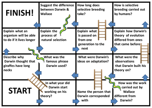 AQA GCSE Biology (Science) Evidence for Evolution – Fossils and ...