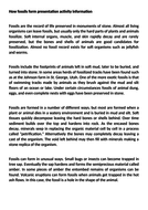 AQA GCSE Biology (Science) Evidence for Evolution – Fossils and ...