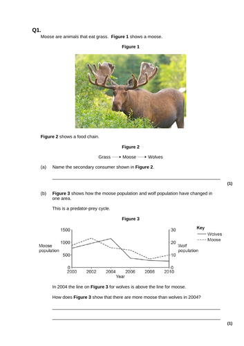 AQA GCSE: B16 Adaptations, Interdependence and Competition: Selection of Exam Questions ...
