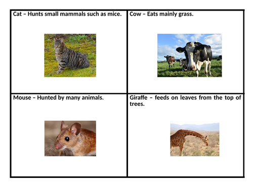 AQA GCSE: B16 Adaptations and Competition: L6 Animal Adaptations ...