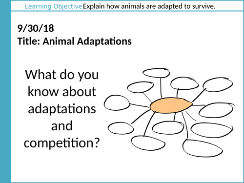 AQA GCSE: B16 Adaptations and Competition: L7 Animal Adaptations | Teaching Resources