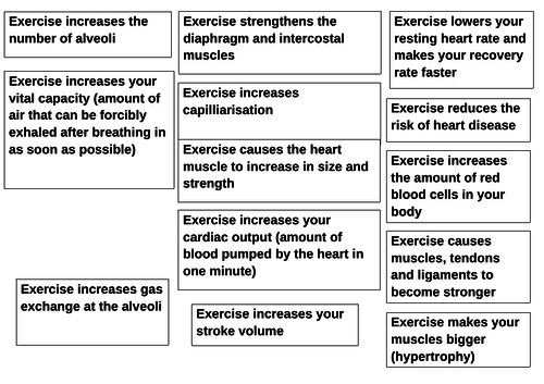 Differentiated worksheets for all topics for Physical factors affecting ...