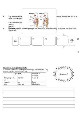 Differentiated worksheets for all topics for Physical factors affecting ...
