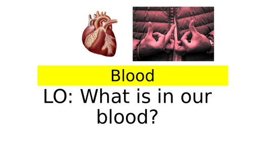 Blood | Teaching Resources