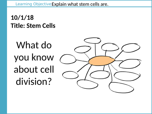 AQA GCSE: B2 Cell Division: L3 Stem Cells | Teaching Resources