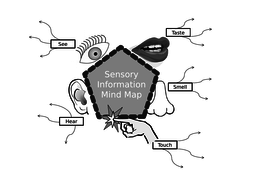 Sensory Information Mind Map | Teaching Resources
