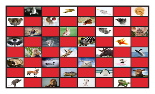 Animals Spanish Legal Size Photo Checkerboard Game | Teaching Resources