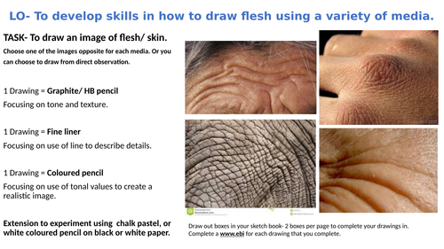 activity sheet fro drawing flesh | Teaching Resources