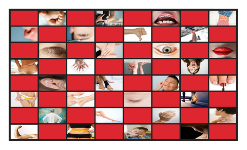 Body Parts Spanish Legal Size Photo Checkerboard Game | Teaching Resources