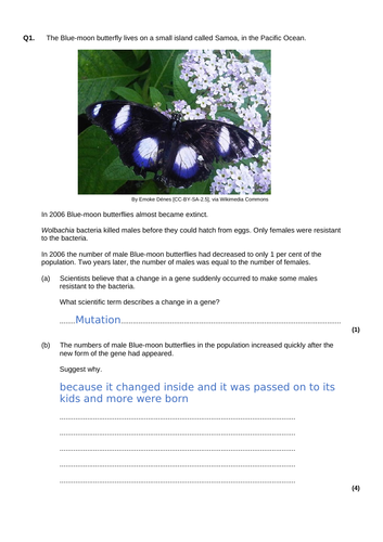 Selective Breeding (AQA GCSE) | Teaching Resources
