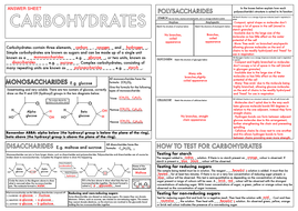 A Level Biology: Carbohydrates Summary Worksheet | Teaching Resources