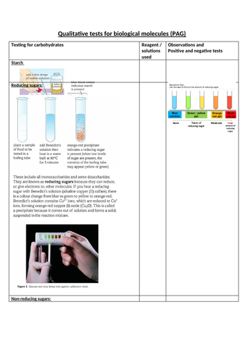 new OCR A-level biology PAG glucose colorimetry and food test ppt and ...