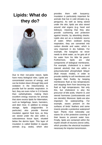 AS/A Level Year 12/13 Biology Biological Molecules Roles of Lipids Full ...