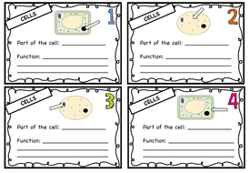 Plant and Animal Cell Task Cards | Teaching Resources