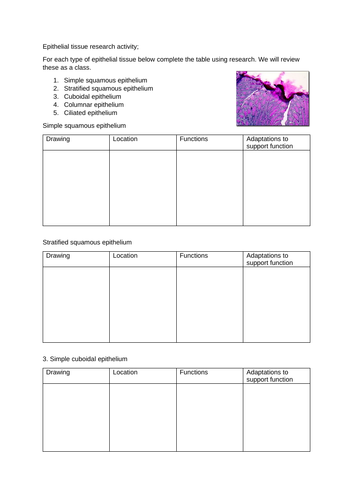 BTEC Level 3 Applied Science Unit 1 Tissues; Epithelial tissue and ...