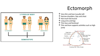 Somatotype teaching resources | Teaching Resources