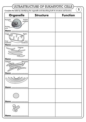 A Level Biology: Cell Ultrastructure Worksheet Pack | Teaching Resources