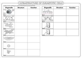 A Level Biology: Cell Ultrastructure Worksheet Pack | Teaching Resources