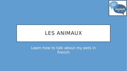 Pets - French lesson plan | Teaching Resources