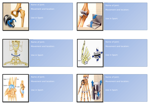 Unit 1 Bones and Joints! | Teaching Resources