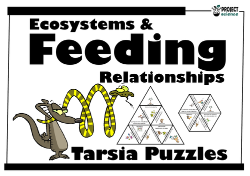Ecosystems and Feeding Relationships Tarsia Puzzle | Teaching Resources