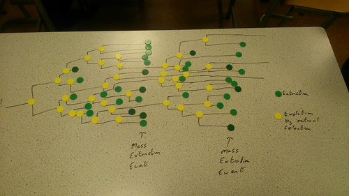 Aqa Gcse Biology Science Extinction Lesson Teaching Resources