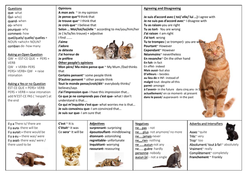 French GCSE Speaking Cat Mat | Teaching Resources