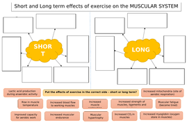 GCSE PE Muscular System, lesson plans and matching worksheets for CIE ...