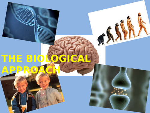 AQA A Level Psychology - Approaches (Biological) | Teaching Resources