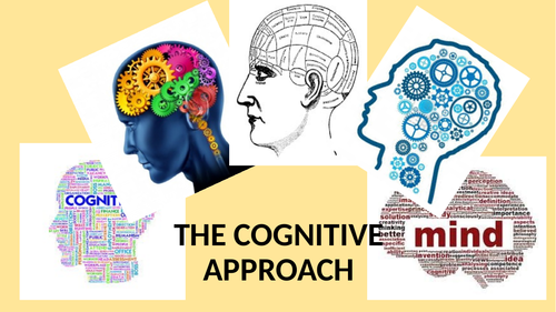 AQA A Level Psych - Approaches (Cognitive) | Teaching Resources
