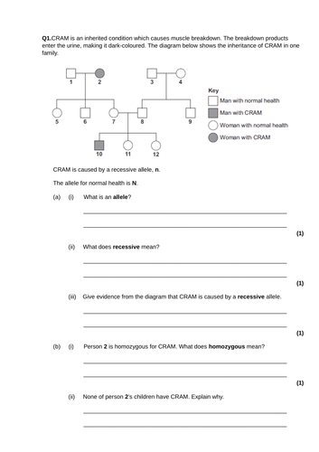 AQA GCSE Biology B6 Inheritance - Sex Determination and Family Trees ...