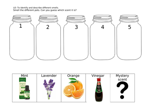 Exploring senses - practical scent test recording page | Teaching Resources