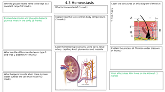 Homeostasis Revision Mat | Teaching Resources