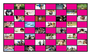 Have, Do, Like, and Favorites Spanish Legal Size Photo Checkers Game ...