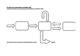AQA A Level Psych - Memory (Multi-Store Model) | Teaching Resources