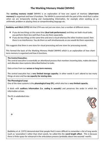 AQA A Level Psych - Memory (Working Memory Model) | Teaching Resources