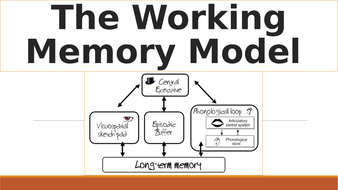 AQA A Level Psych - Memory (Working Memory Model) | Teaching Resources