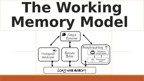 AQA A Level Psych - Memory (Working Memory Model) | Teaching Resources AQA A Level Psych - Memory (Working Memory Model) | Teaching Resources