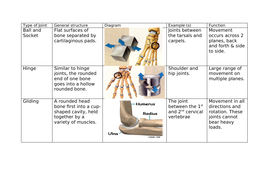 Synovial Joints Lesson | Teaching Resources