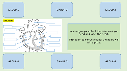 GCSE PE Revision - Journey of the blood practical lesson | Teaching ...