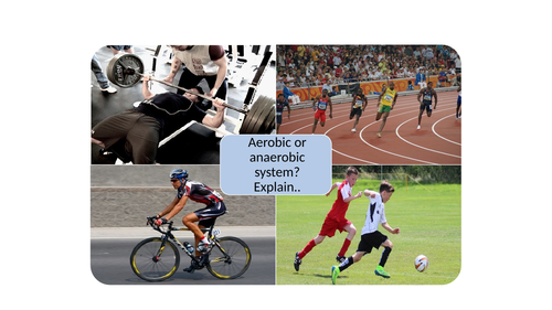 Btec Sport Tech Component 1 | Teaching Resources