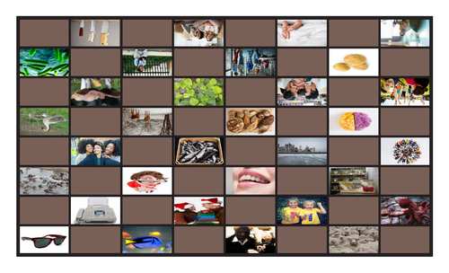 Irregular Plural Nouns Legal Size Photo Checkers Game | Teaching Resources