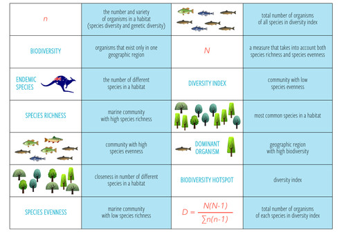 Biodiversity - Loop Game (KS5) | Teaching Resources