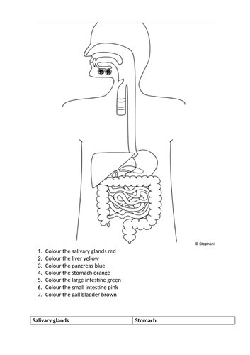 AQA Digestive system and enzymes FULL LESSON (KS3/KS4) | Teaching Resources