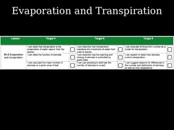 Stomata Density | Teaching Resources