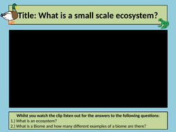 Small scale Ecosystems | Teaching Resources